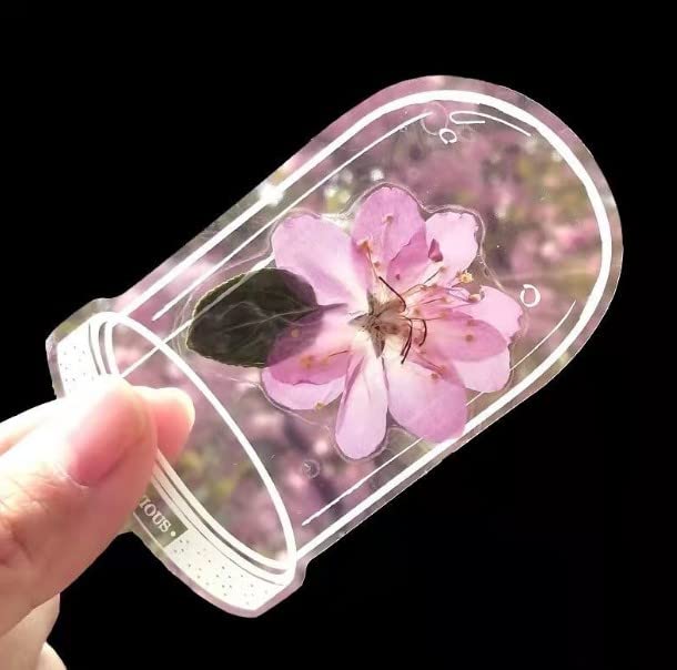 znvwki Transparent Dried Flower Bookmarks, Dried Flower Bookmark, Dried Flower Bookmarks Craft, DIY Bookmarks, Pressed Flower Bookmark Kit with Tweezers
