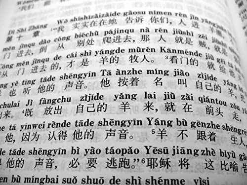 Pinyin New Testament Bible in Simplified Chinese. 拼音新约圣经 (简). 拼音新約聖經 (簡)
