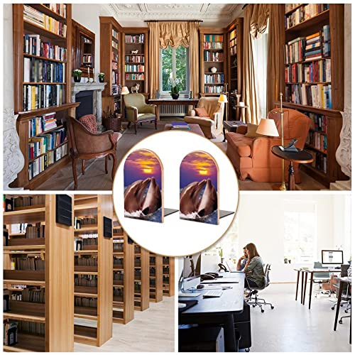 Exquisite Printed Bookends,Funny Dolphin Ocean Sea Sky Heavy Duty Wood + Metal Book Ends Supports Desktop Books Organizer Book Cds Storage for Office School Library Home