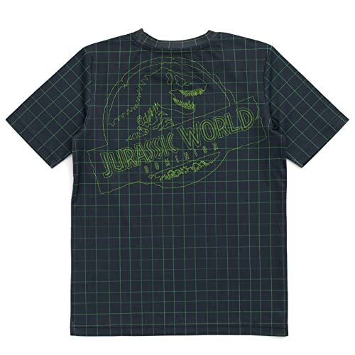 Jurassic World Jurassic Park T-Rex Toddler Boys T-Shirt and Shorts Outfit Set Black/Green 3T