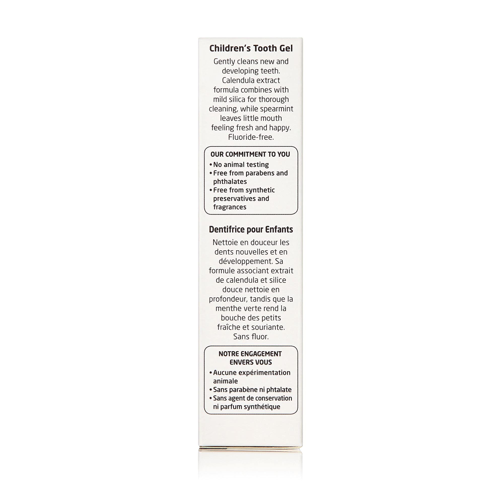 Weleda Oral Care Childrens Tooth Gel, 1.7 Fluid Ounce, Fluoride Free, Spearmint Flavor, Plant Rich Toothpaste with Calendula, Silica and Fennel