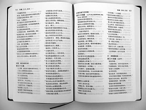 Large Print Simplified Chinese Union Version Bible (CUV) 大字和合本圣经 (简), 大字和合本聖經 (簡)