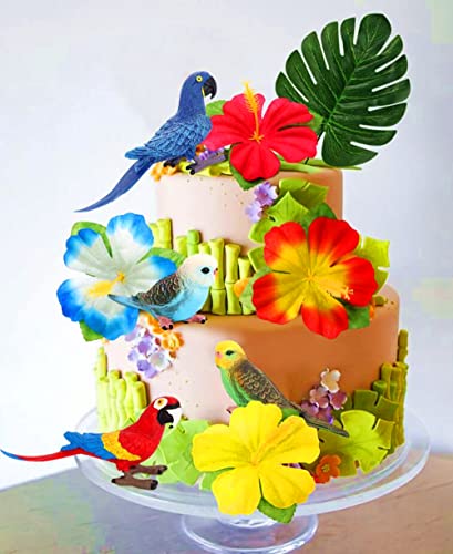 JeVenis Parrot Birthday Cake Decoration Tropical Bird Cupcake Decoration Parrot Party Supplies Tropical Bird Cake Decoration Parrot Birthday Party Decoration