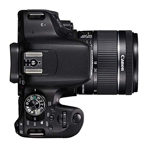 Canon EOS 800D / Rebel T7i w/Canon EF-S 18-55mm F/4-5.6 is STM Zoom Lens & Professional Accessory Bundle W/ 128GB Memory Card & Back-Pack Case & Spare Battery & More