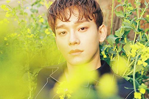 EXO Chen - [April, And A Flower] 1st Mini Album Flower Version CD+Booklet+1p PhotoCard+BookMark+Tracking K-POP Sealed