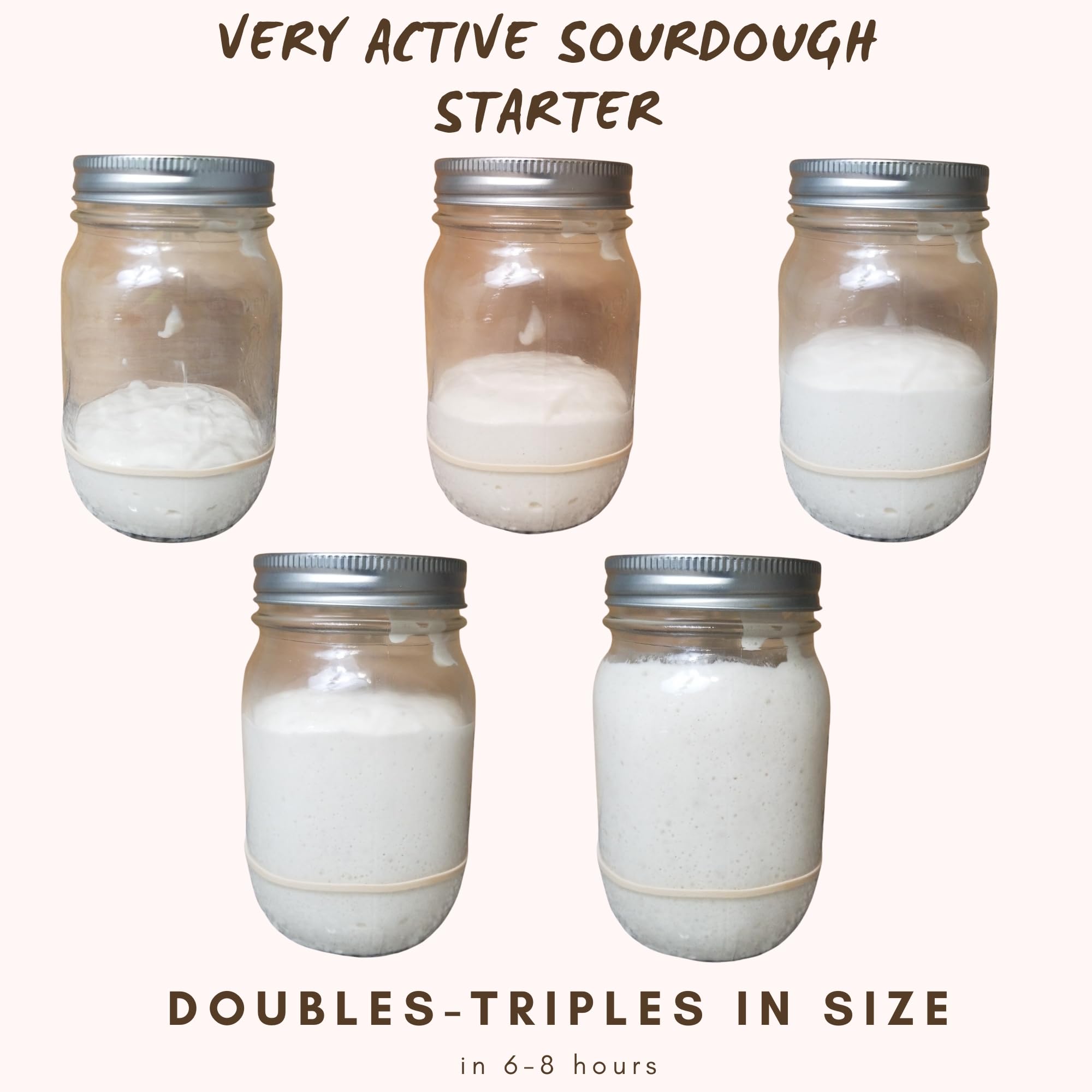 Sourdough Starter - Dehydrated Heirloom Style Sourdough Starter for Sourdough Bread, Pizza, Buns, Pancakes, Muffins | Easy to follow instructions. By Captain Sourpants
