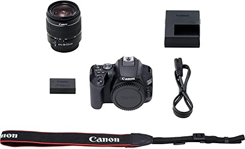 Canon EOS 250D / Rebel SL3 DSLR Camera with 18-55mm Lens (Black), Creative Filter Set, EOS Camera Bag, Sandisk Ultra 64GB Card, 6AVE Electronics Cleaning Set, and More (Renewed)
