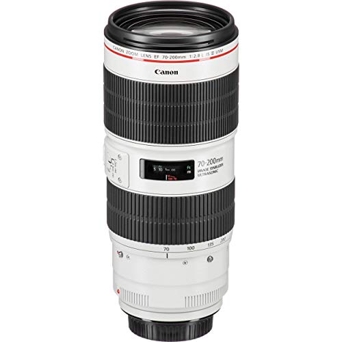 Canon EF 70-200mm f/2.8L is III USM Lens for Canon Digital SLR Cameras (Renewed)