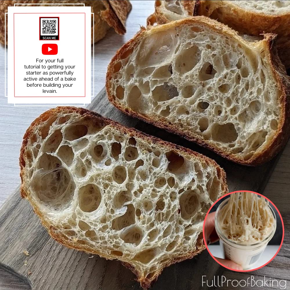 Fresh Sourdough Starter