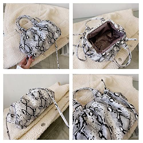 Women's Small Leather Rectangular Handbag Crossbody Purse Handbag Shoulder Bag Handle Satchel Purse Boho Shoulder Bag (sliver)