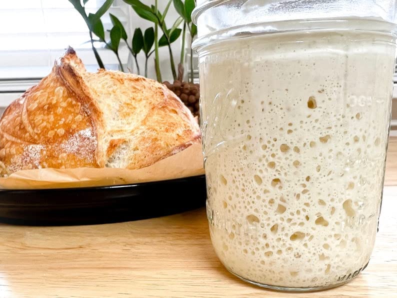 WWJD Worms 900 Year Old Organic Fresh Sourdough Starter Yeast Culture - Dutch/Wales Heritage Starter