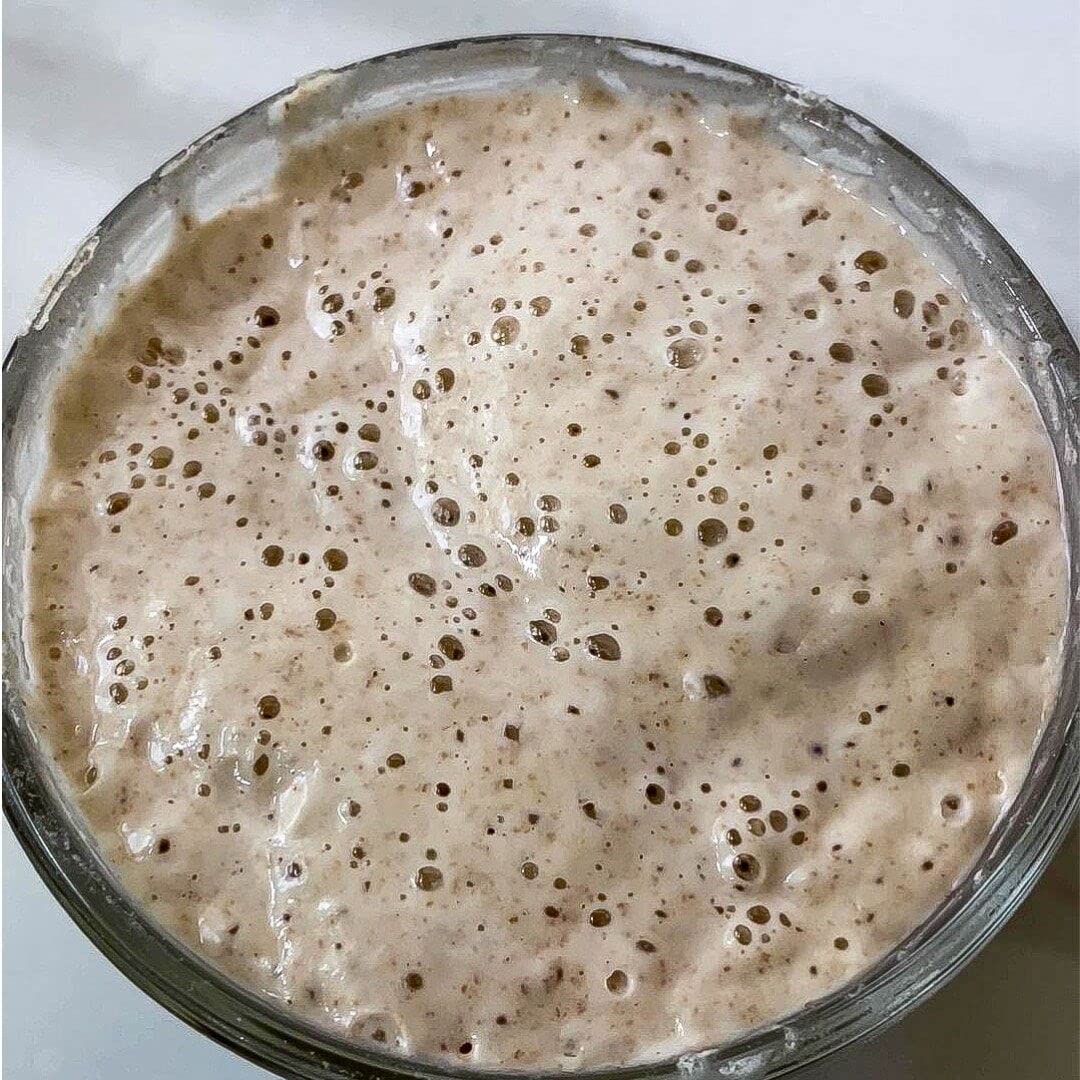 WWJD Worms 900 Year Old Organic Fresh Sourdough Starter Yeast Culture - Dutch/Wales Heritage Starter
