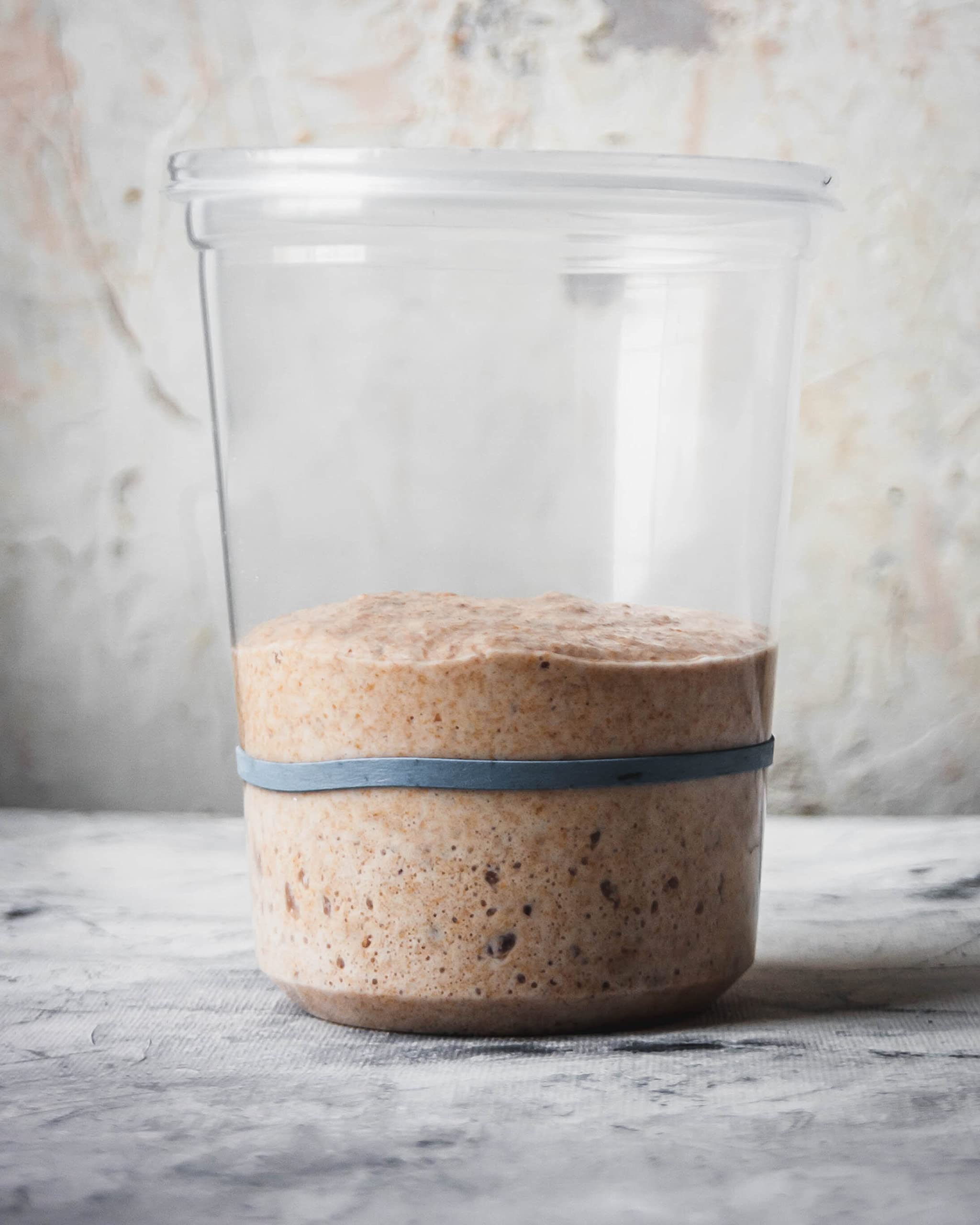 WWJD Worms 900 Year Old Organic Fresh Sourdough Starter Yeast Culture - Dutch/Wales Heritage Starter