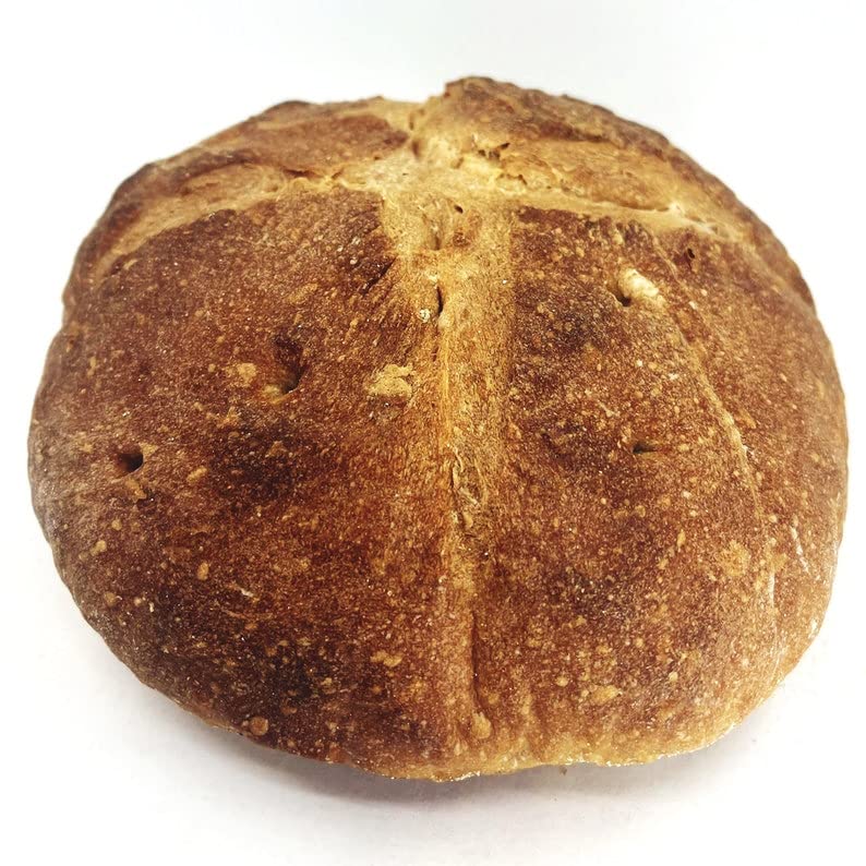 WWJD Worms 900 Year Old Organic Fresh Sourdough Starter Yeast Culture - Dutch/Wales Heritage Starter