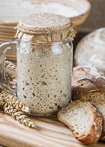 WWJD Worms 900 Year Old Organic Fresh Sourdough Starter Yeast Culture - Dutch/Wales Heritage Starter