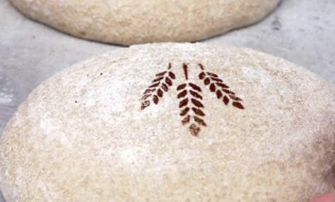 Vie De Pain- Sourdough Bread Baking Kit! Beautiful Sourdough Starter Jar, Sourdough Crock with Thick Artisan Bread Stencils to make the Perfect Sourdough Bread! Premium Quality for Bread Enthusiasts!