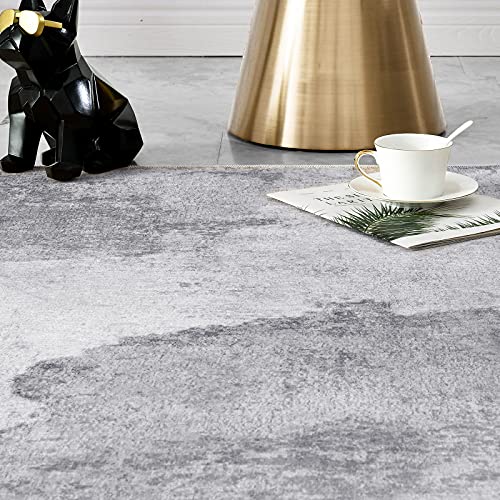 jinchan Area Rug 4x6 Indoor Modern Abstract Rug Grey Accent Rug Kitchen Gray Carpet Foldable Thin Rug Non Slip Contemporary Floor Cover for Living Room Bedroom Dining Room