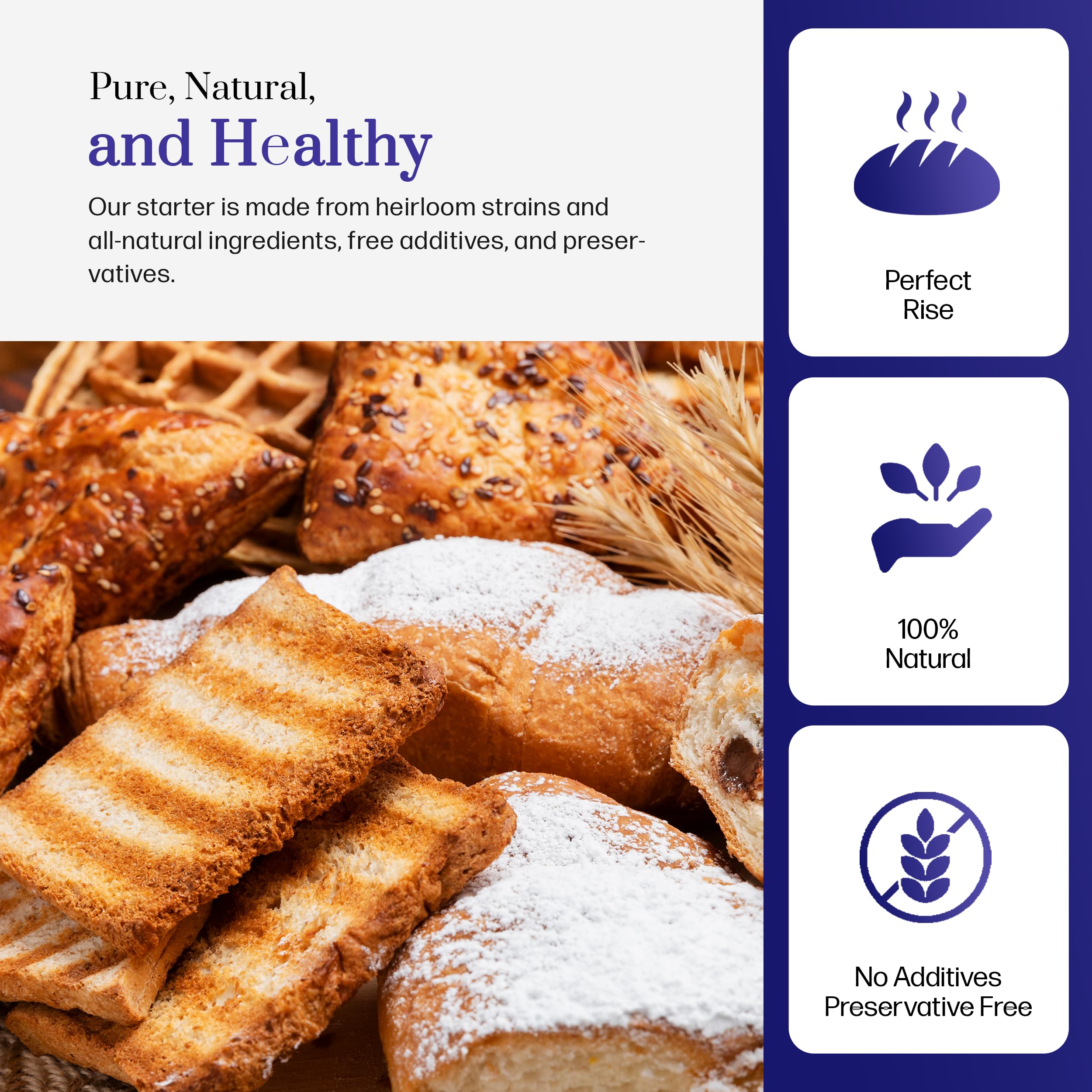 San Francisco Sourdough Starter - Dehydrated Heirloom Style Sourdough Starter for Sourdough Bread, Pizza, Buns, Pancakes, Muffins | Easy to follow instructions. By Captain Sourpants