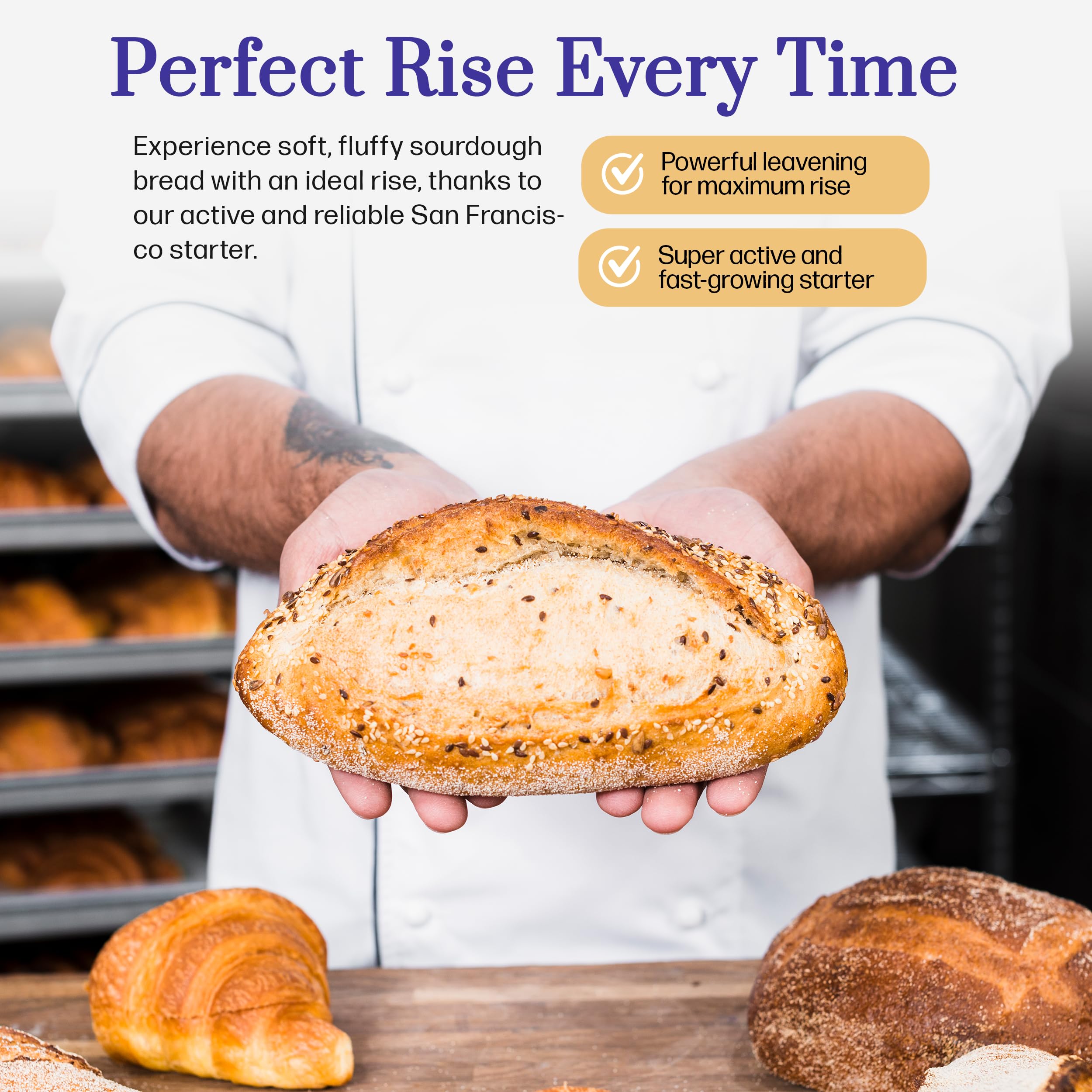 San Francisco Sourdough Starter - Dehydrated Heirloom Style Sourdough Starter for Sourdough Bread, Pizza, Buns, Pancakes, Muffins | Easy to follow instructions. By Captain Sourpants