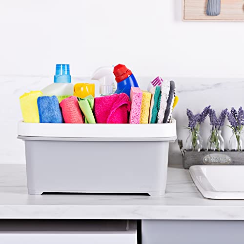 Minky Homecare Large Storage Caddy - Easy to Clean Plastic Storage Bin with Foldaway Handle - Perfect for Cleaning, Crafts, Baby Items, DIY - Great for Pantry, Fridge & Organization - Made in the UK