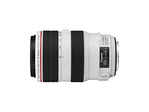 Canon EF 70-300mm f/4-5.6L IS USM UD Telephoto Zoom Lens for Canon EOS SLR Cameras