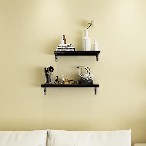 evron Floating Shelves Wall Mounted Set, Water Proof Wall Shelves for Living Room, Dining Room, Bedroom, Kitchen, Office and Greenhouse (Black Set of 2)