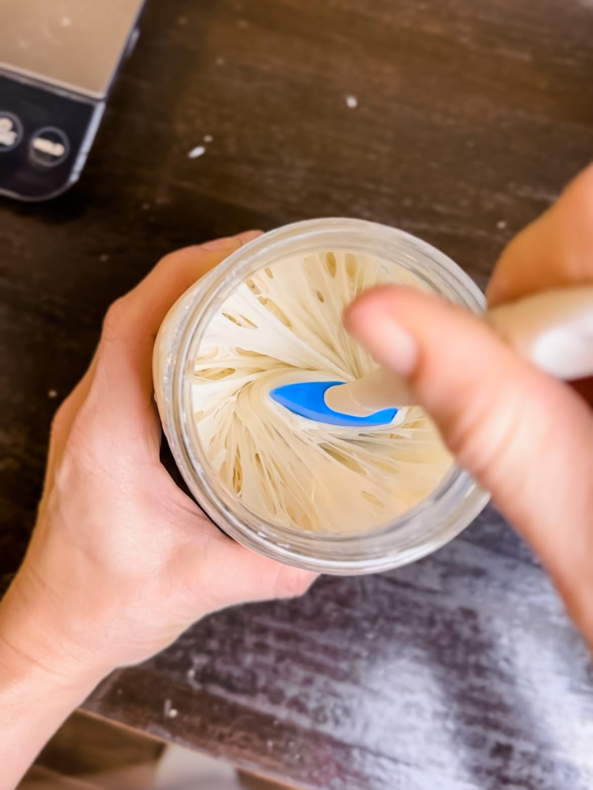 ENDLESS Fresh Live Sourdough Starter | San Francisco Style Heirloom Culture for Artisan Bread Baking | DIY Tasty Prebiotic Rich Low Carb Bread | No Wait Live Sourdough Starter Culture