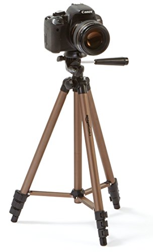 Amazon Basics 50-inch Lightweight Camera Mount Tripod Stand With Bag