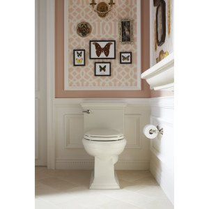 KOHLER 10554-Bn Devonshire Toilet Paper Holder, Brushed Nickel