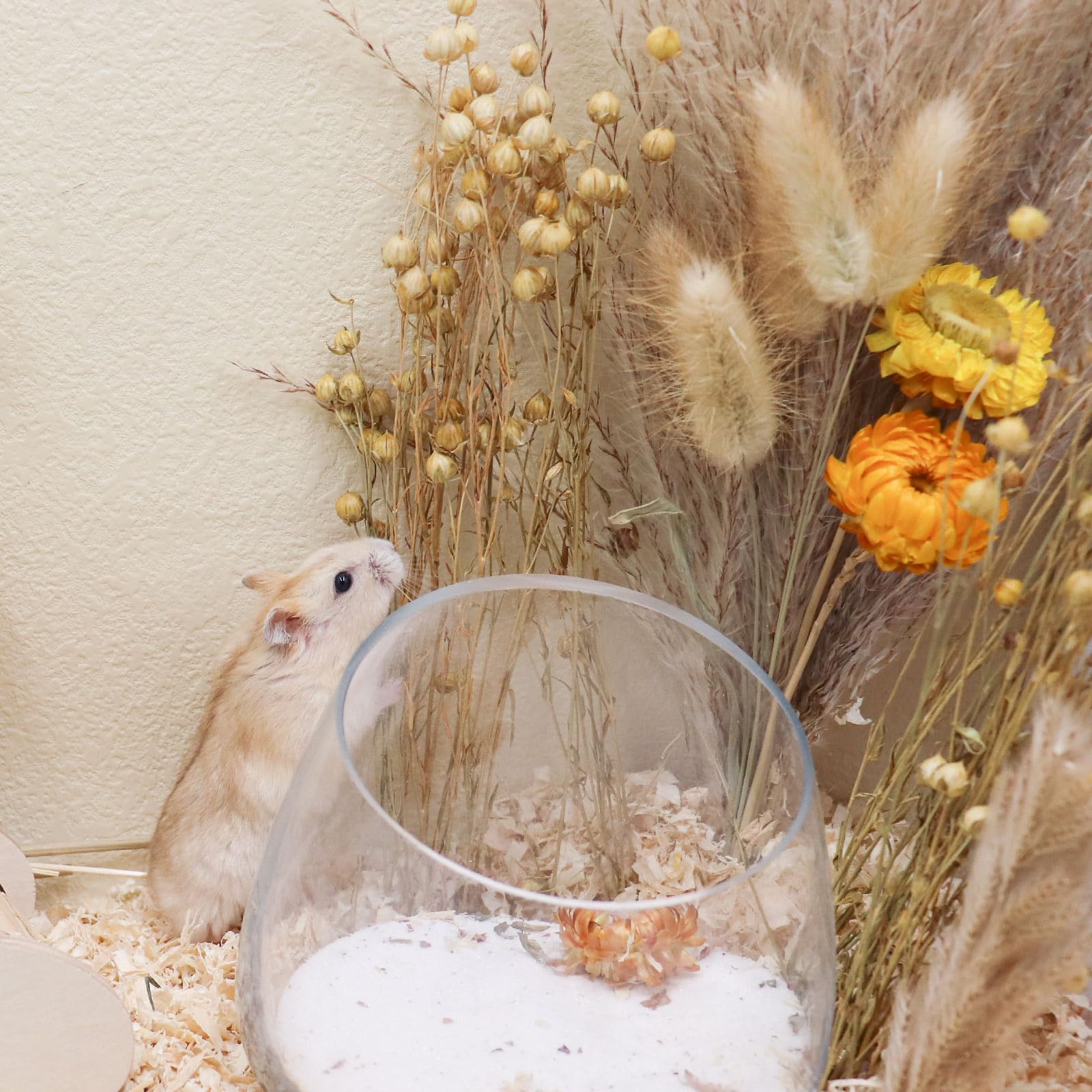 Oooct Hamster Bedding, Natural Flowers Herbs Cereal Grain Decor for Hamster Houses and Hideouts, Small Animal Cages and Habitats Accessories, Suitable for Hamster Rat Gerbil Guinea Pig