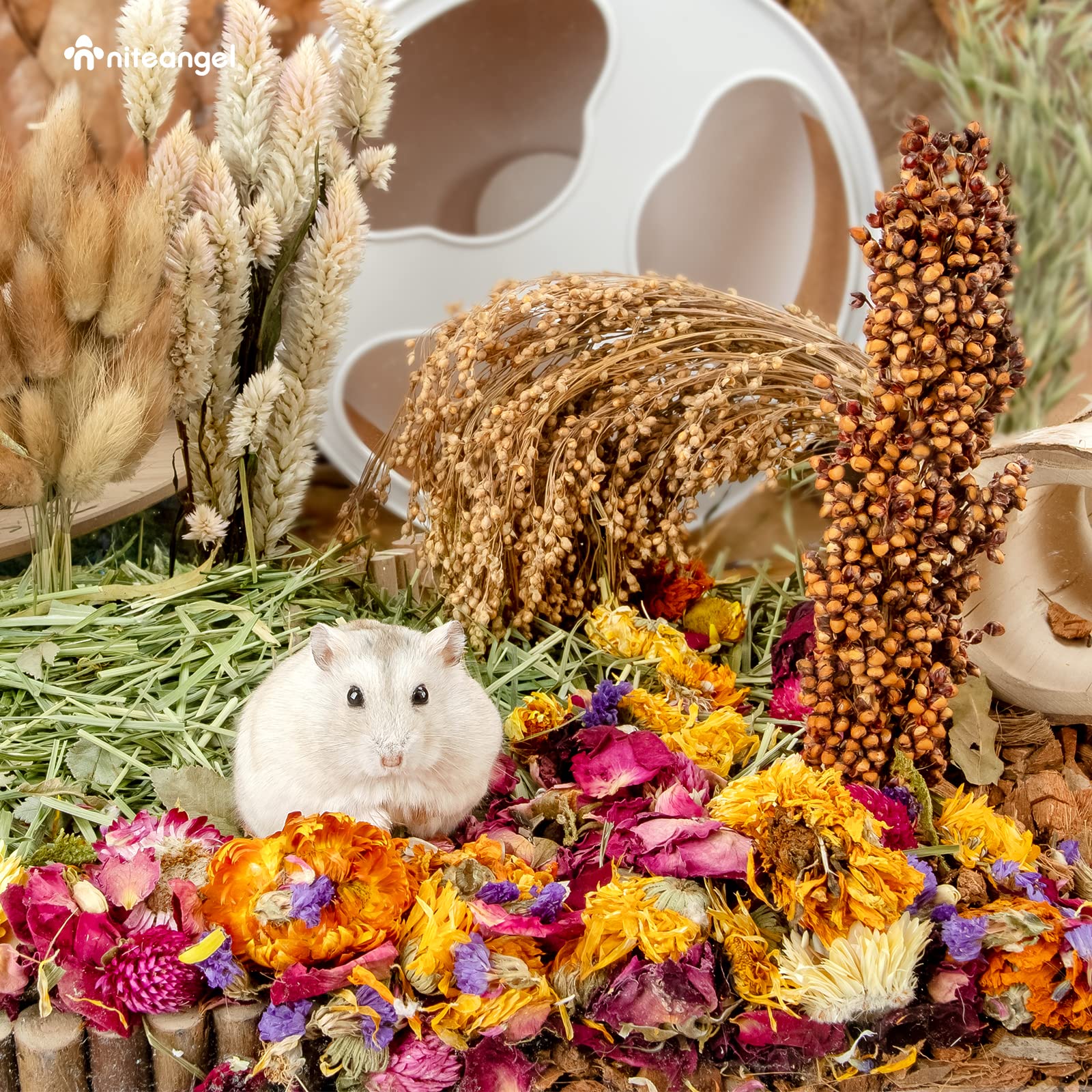 Niteangel Natural & Soft Hamster Bedding Mate Small Animal Habitat Decor for Syrian Dwarf Hamsters Gerbils Mice Degus Bunny or Other Small-Sized Pet (Flowers Scent Path)