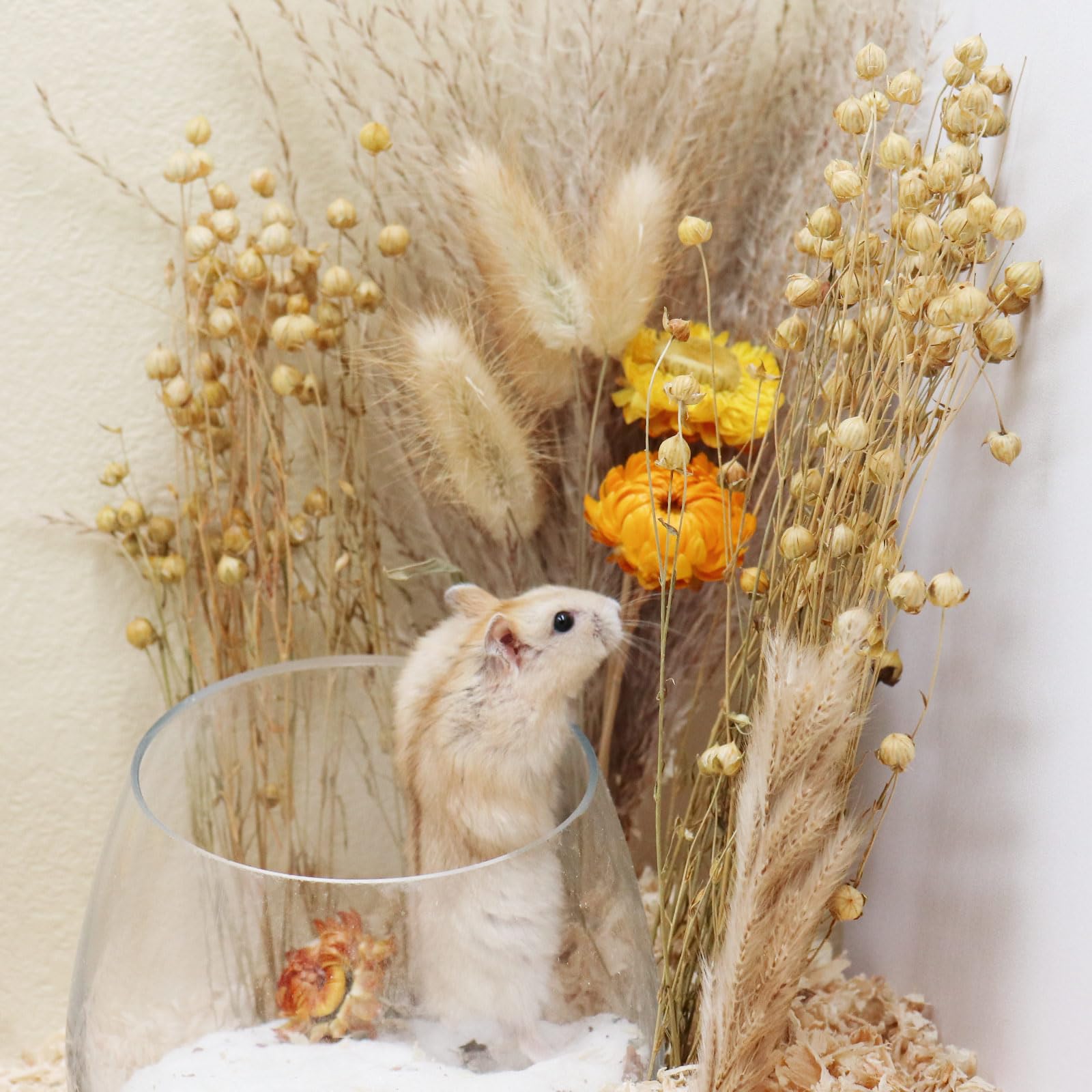 Oooct Hamster Bedding, Natural Flowers Herbs Cereal Grain Decor for Hamster Houses and Hideouts, Small Animal Cages and Habitats Accessories, Suitable for Hamster Rat Gerbil Guinea Pig