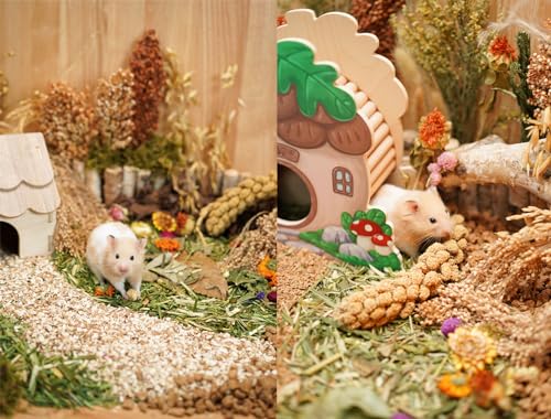 JFWOD Natural Hamster Bedding Flowers Herbs Sprays Treat Cereal Grain for Cage Habitat Enclosure Decor Hamster Chews for Dwarf Syrian Gerbils Mice Mouse Rat Forage Pet Hamster Accessories