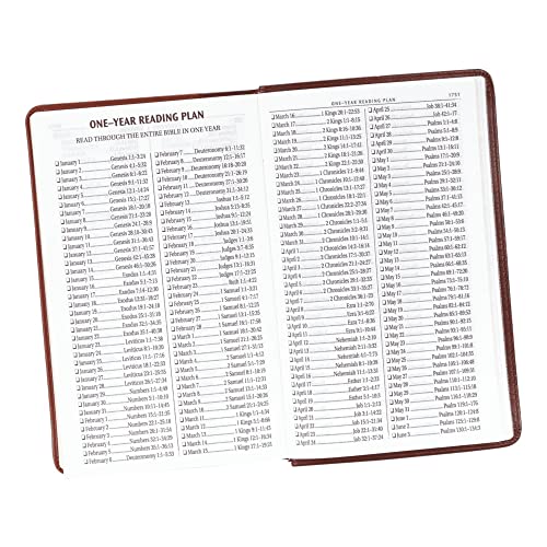Personalized Bible Custom Text Your Name KJV Giant Print Two-Tone Brown Bible King James Version Custom Made Gift for Baptism Christenings Birthdays