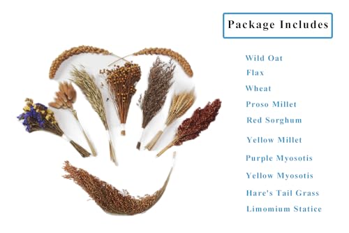 JFWOD Natural Hamster Bedding Flowers Herbs Sprays Treat Cereal Grain for Cage Habitat Enclosure Decor Hamster Chews for Dwarf Syrian Gerbils Mice Mouse Rat Forage Pet Hamster Accessories