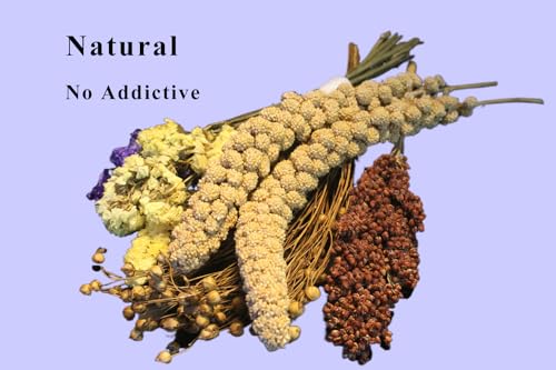 JFWOD Natural Hamster Bedding Flowers Herbs Sprays Treat Cereal Grain for Cage Habitat Enclosure Decor Hamster Chews for Dwarf Syrian Gerbils Mice Mouse Rat Forage Pet Hamster Accessories