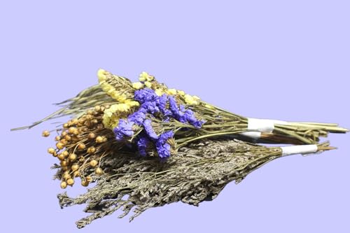JFWOD Natural Hamster Bedding Flowers Herbs Sprays Treat Cereal Grain for Cage Habitat Enclosure Decor Hamster Chews for Dwarf Syrian Gerbils Mice Mouse Rat Forage Pet Hamster Accessories