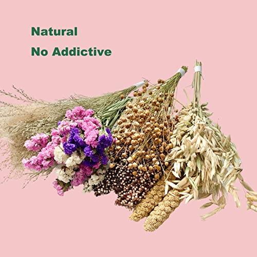 Hamster Bedding, Natural Hamster Bedding Flowers Herbs Cereal Grain For House Cage Habitat Enclosure Decor- Hamster Chews for Gerbils Mouse Rat Lemming Degus Guinea Pig or Small Animal Bedding Pets