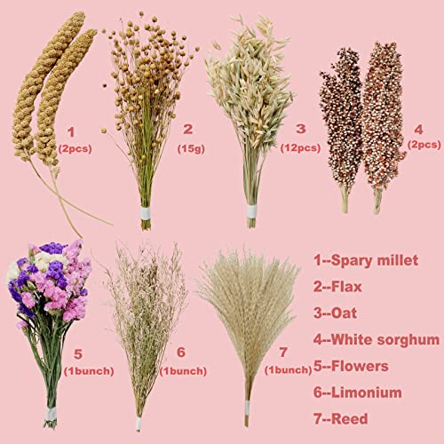 Hamster Bedding, Natural Hamster Bedding Flowers Herbs Cereal Grain For House Cage Habitat Enclosure Decor- Hamster Chews for Gerbils Mouse Rat Lemming Degus Guinea Pig or Small Animal Bedding Pets