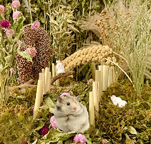Hamster Bedding, Natural Hamster Bedding Flowers Herbs Cereal Grain For House Cage Habitat Enclosure Decor- Hamster Chews for Gerbils Mouse Rat Lemming Degus Guinea Pig or Small Animal Bedding Pets