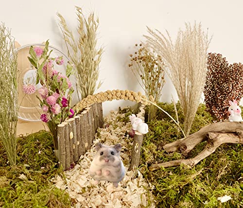 Hamster Bedding, Natural Hamster Bedding Flowers Herbs Cereal Grain For House Cage Habitat Enclosure Decor- Hamster Chews for Gerbils Mouse Rat Lemming Degus Guinea Pig or Small Animal Bedding Pets