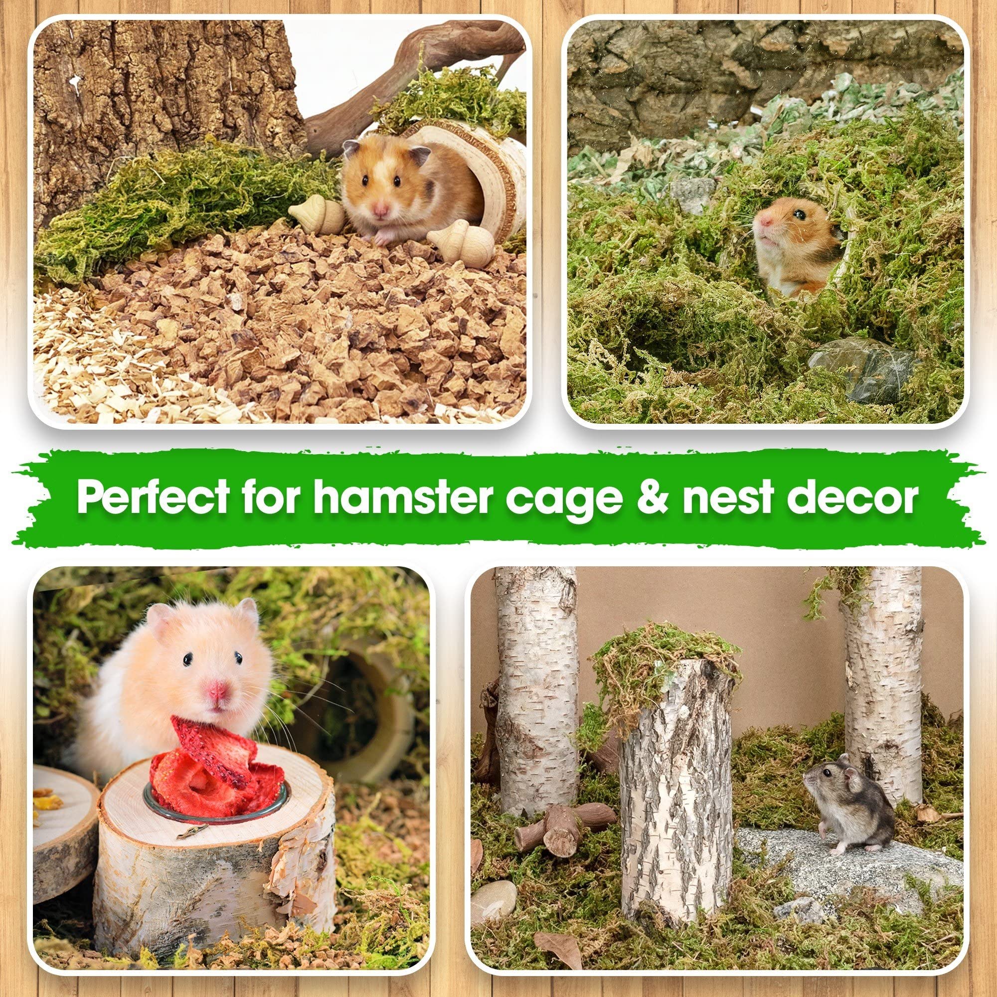 Duspro 5oz Hamster Bedding, Natural Forest Moss Bedding for Hamster, Hamster Bedding Odor Control, Decorate Hamster Hideout with Moss.