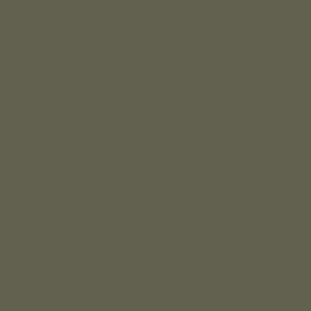 Rust-Oleum 249322 Automotive Self Etching Primer, 12 oz, Dark Green Spray Paint, 12 Ounce (Pack of 1), 11 Fl Oz