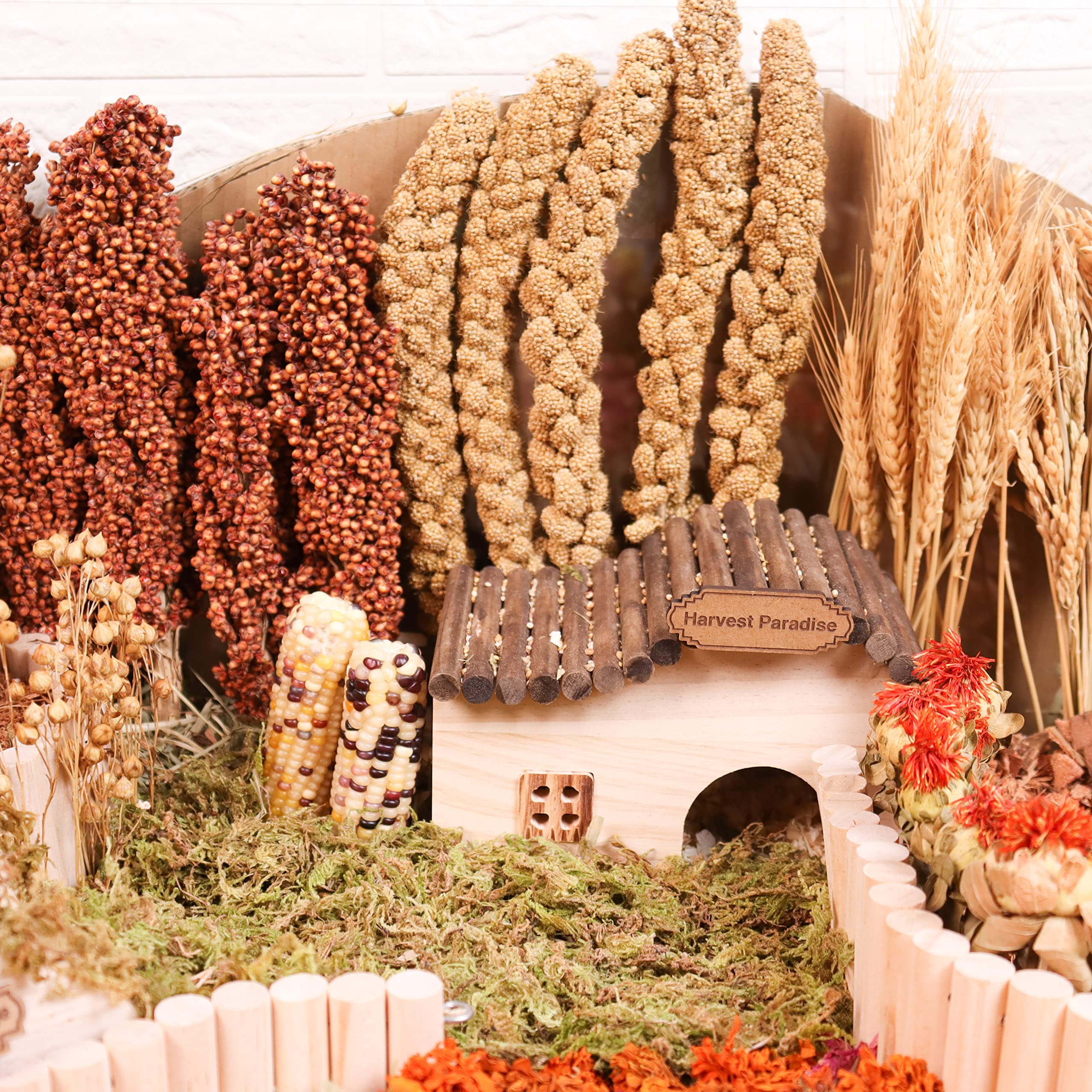 LUVCOSY Organic Sprays Set = Wheat + Flax + Yellow Millet + Panicle Millet + Corn Cob + White/Red Sorghum Stems, Pet Habitat Bedding Decor Accessories for Hamsters, Gerbils, Degus, or Small Animals