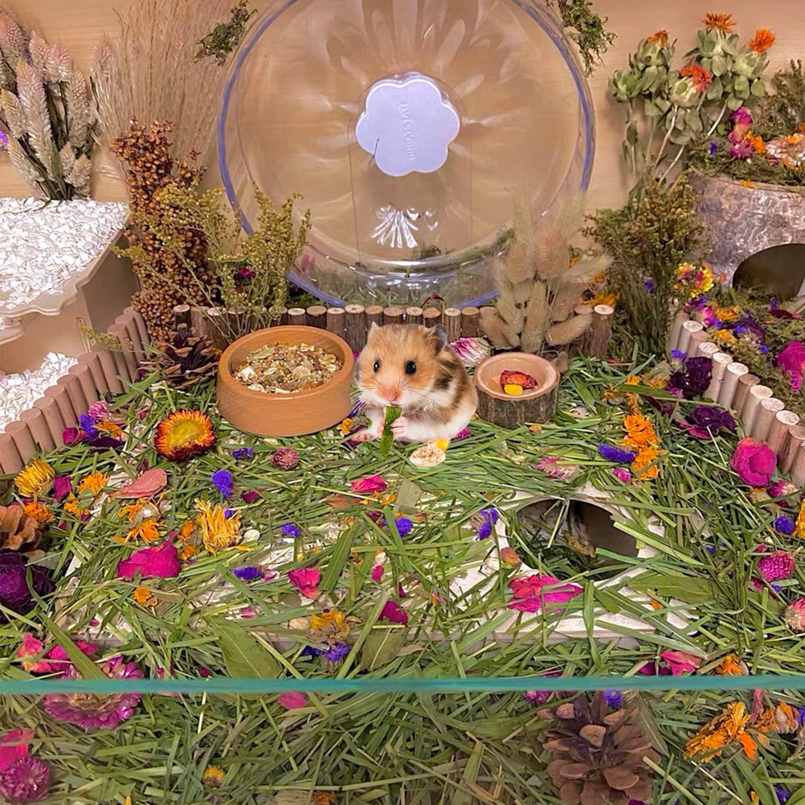 Tfwadmx Hamster Substrate Moss Natural Bedding Habitat Decor for Dwarf Syrian Hamsters Gerbils Mice Degus Bunny or Other Small Animal (Flower & Herb(A)(2PCS))