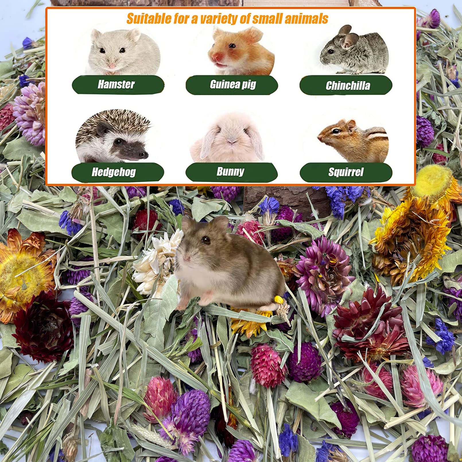 Tfwadmx Hamster Substrate Moss Natural Bedding Habitat Decor for Dwarf Syrian Hamsters Gerbils Mice Degus Bunny or Other Small Animal (Flower & Herb(A)(2PCS))