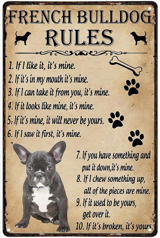 Funny Metal Tin Sign A French Bulldog House Rules Posters Tin Sign Metal Art Holiday Decoration Outdoor Indoor Sign Wall Decoration Room Decor Metal Tin Sign 8x12 inch