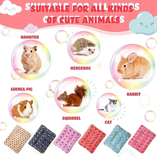 Yulejo 6 Pieces Guinea Pig Bed Plush Hamster Mat Bunny Bed Small Animal Sleeping Bedding Pads with Cleaning Dustpan Brush for Chinchilla Squirrel Hedgehog Small Animals (Cool Color, Star)