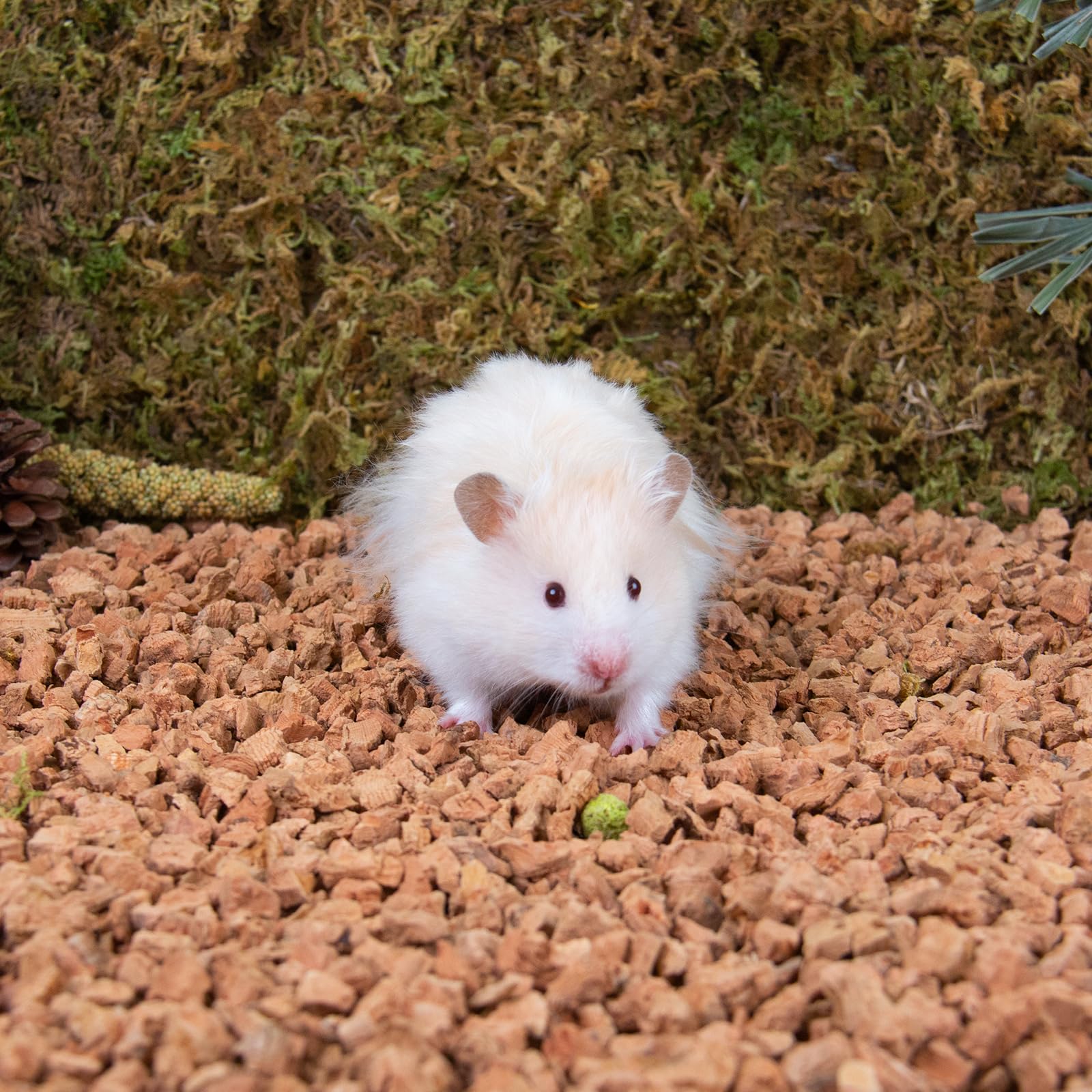 Rubor Hamster Bedding Natural Cork Granule Pet Litter for Hamster Chinchillas Gerbil Mice Degu Small Animals-No-Dust
