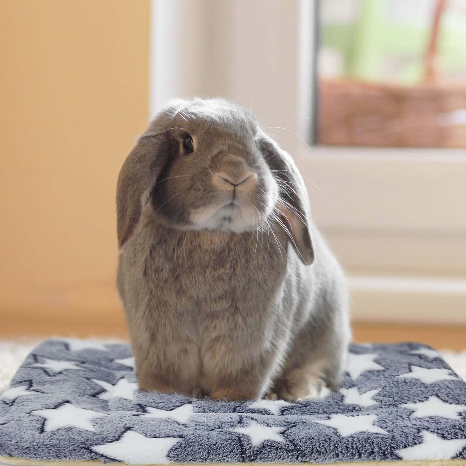 Tierecare 10PCS Guinea Pig Bed Soft Rabbit Bedding Cage Liner Warm Bunny Mats Pee Pads Fleece Blanket Plush Hamster Sleep Beds Ferret Squirrel Hedgehog Rat